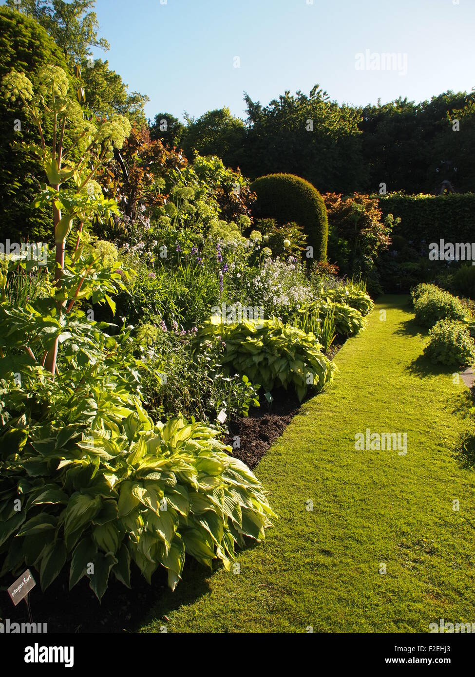 Garden Path Hostas High Resolution Stock Photography and Images - Alamy