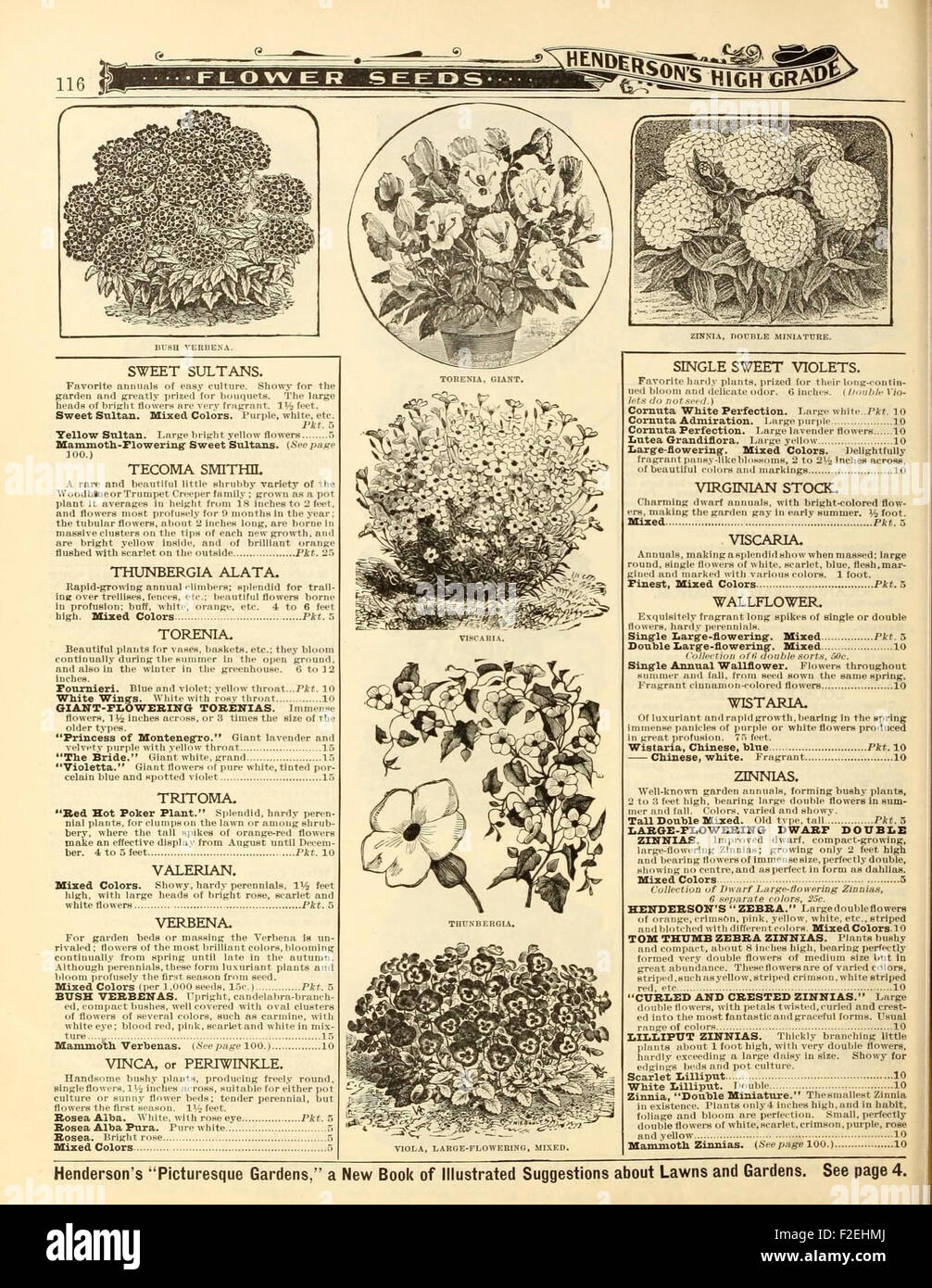 *Everything for the Garden* is a comprehensive guide to ornamental ...