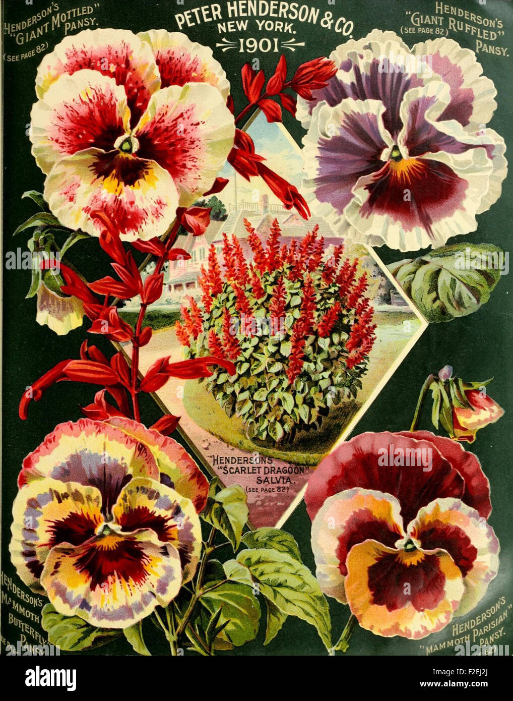 This catalog provides a comprehensive list of plants, seeds, flowers ...