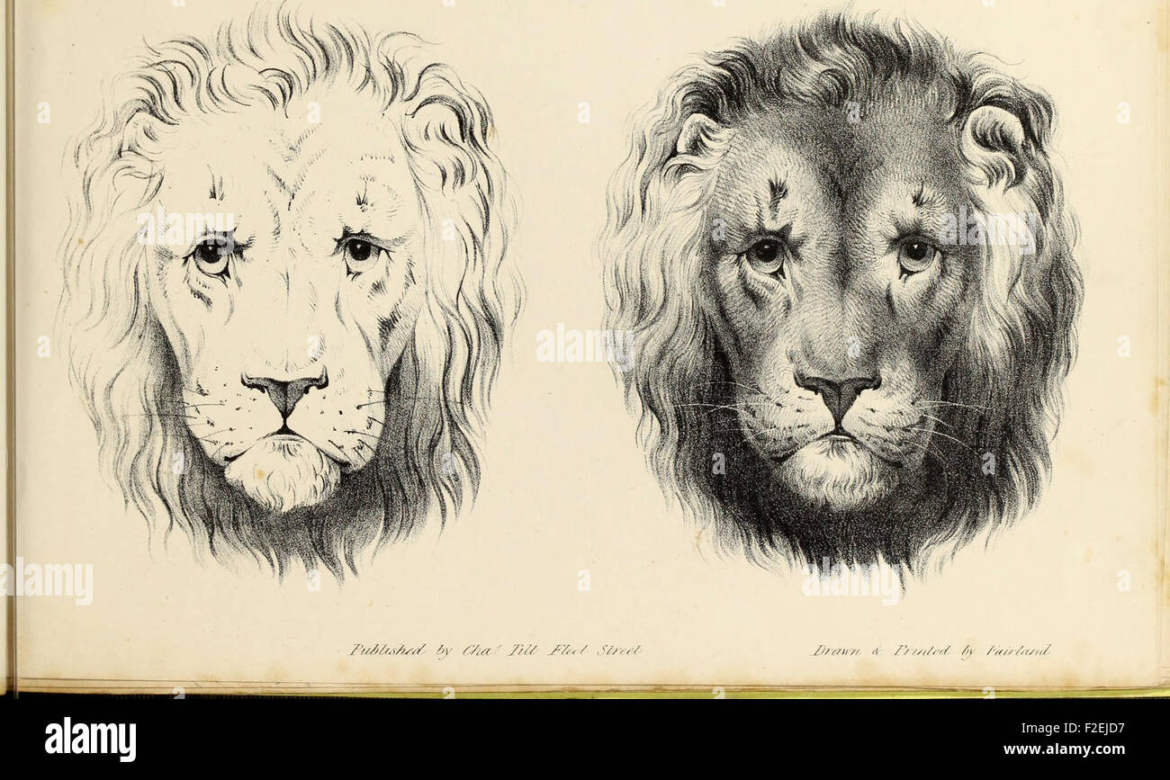 An illustration from 'Fairland's Juvenile Artist,' a 1838 work offering ...