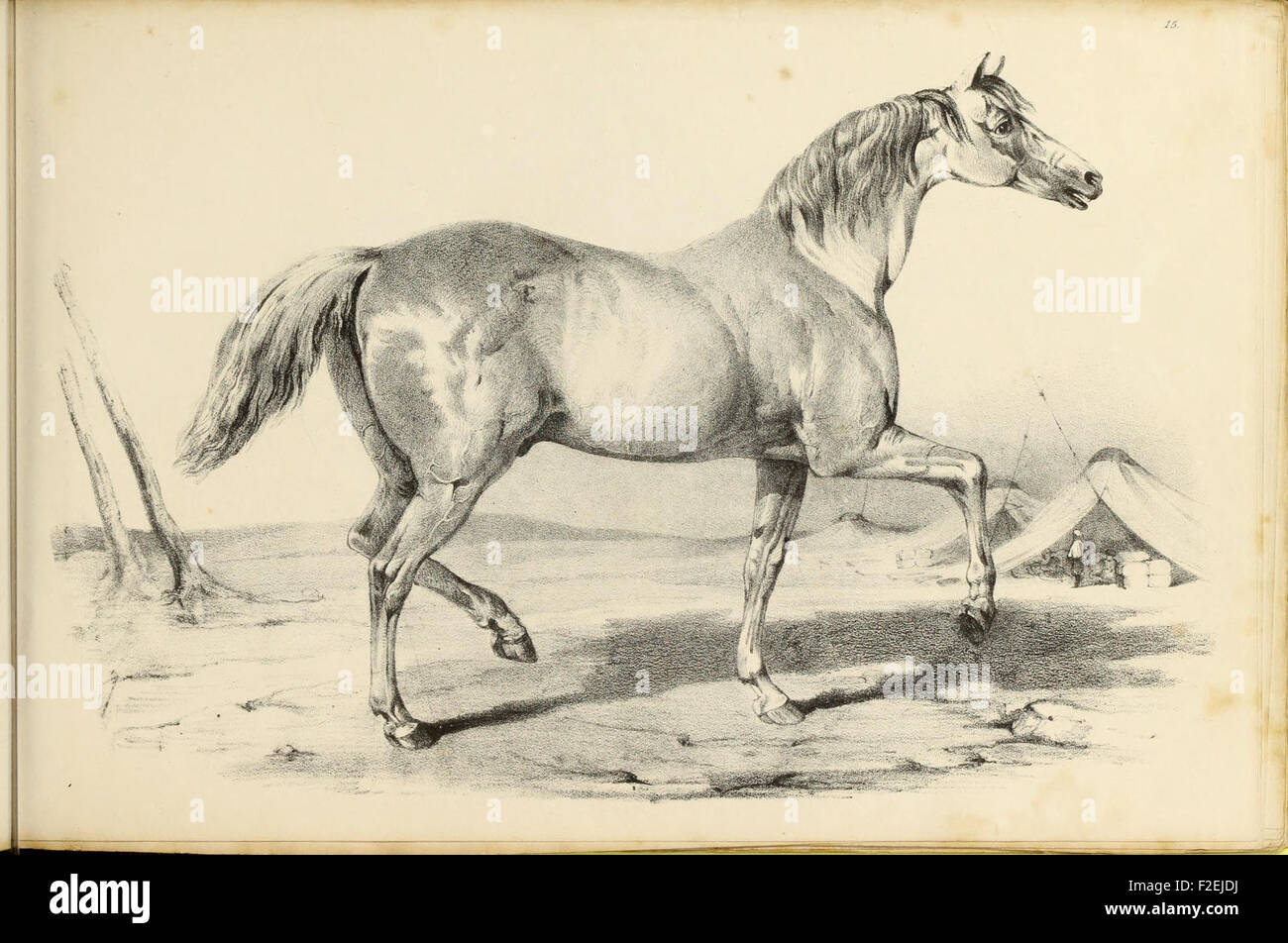 *Fairland's Juvenile Artist* (1838) is a drawing guide designed for ...