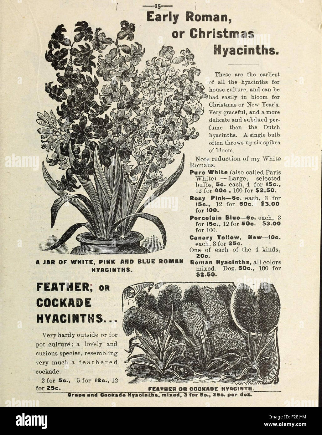 This catalog of flowers offers descriptions and illustrations of ...