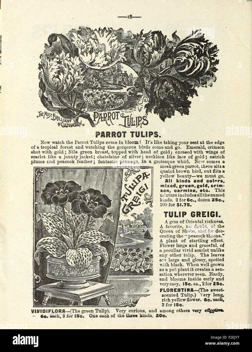 This horticultural catalog provides a selection of flowers and plants ...