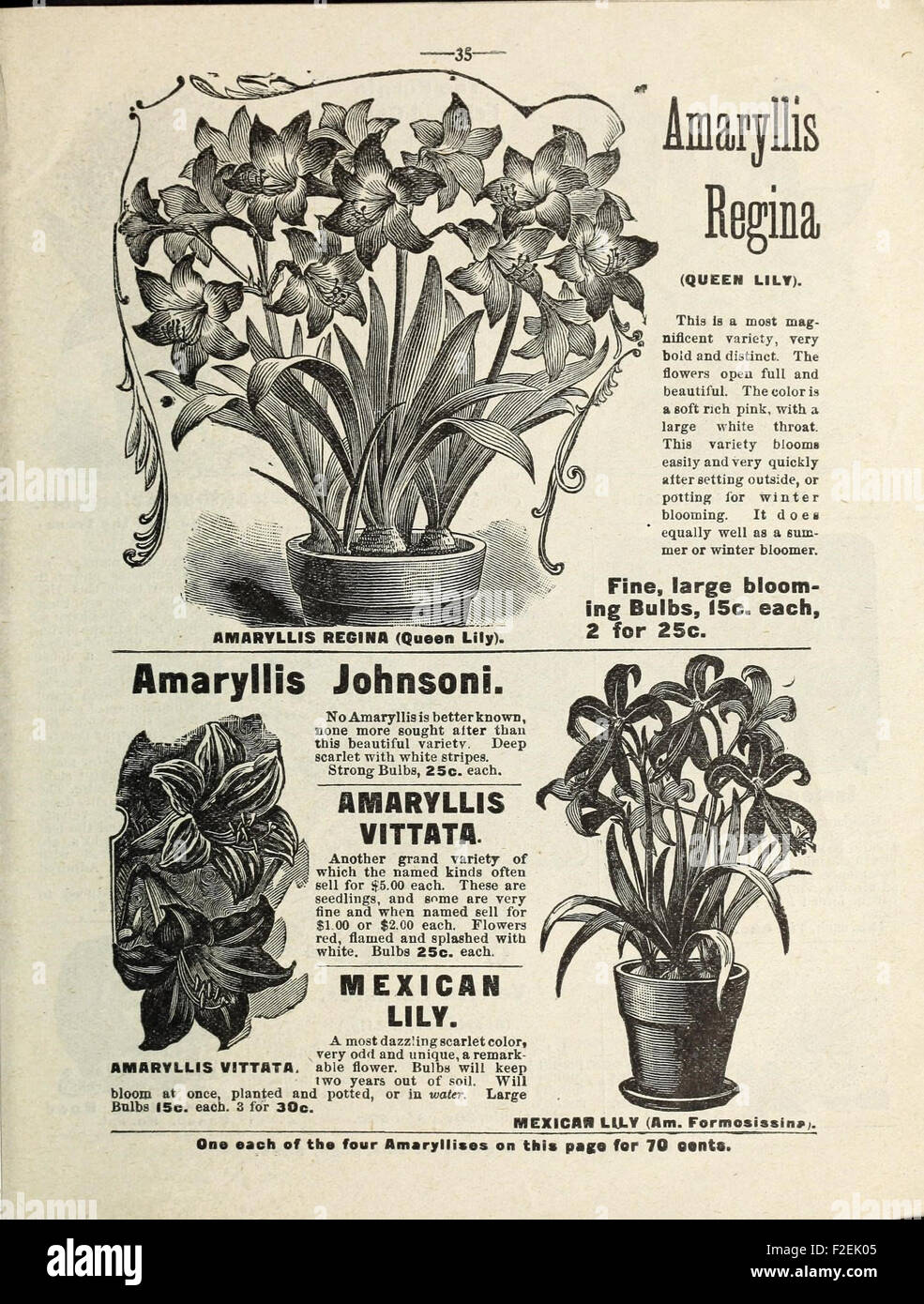 This catalog on flowers, published by Miss Mary E. Martin and the U.S ...