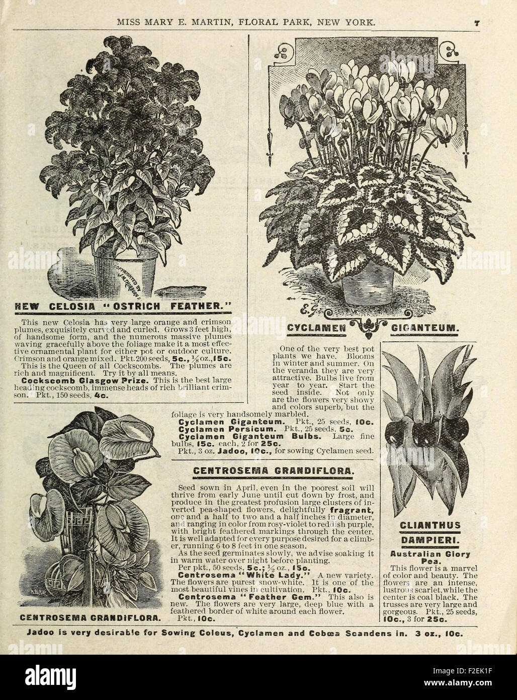 'Flowers for Springtime' is a horticultural guide showcasing various ...