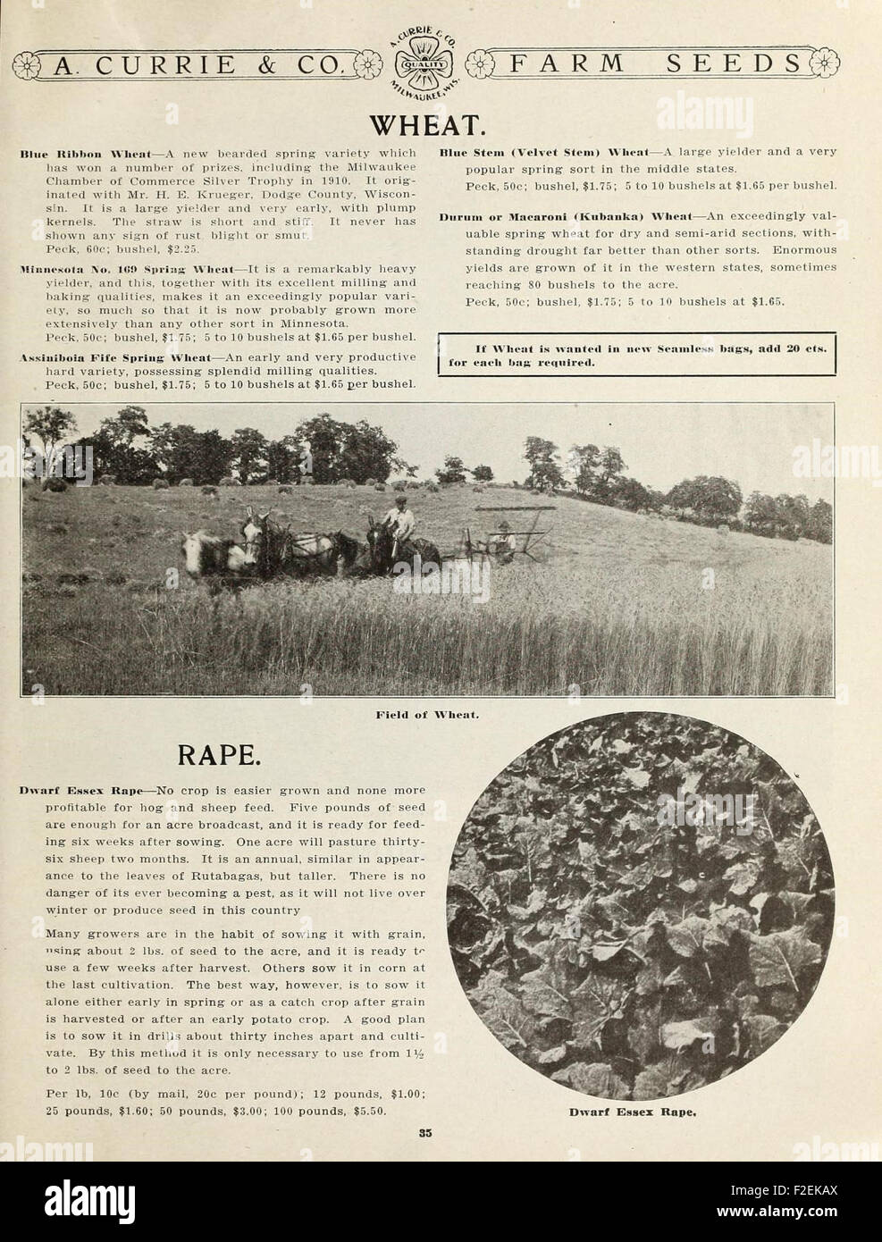 This vintage catalog features garden and farm seeds, including ...