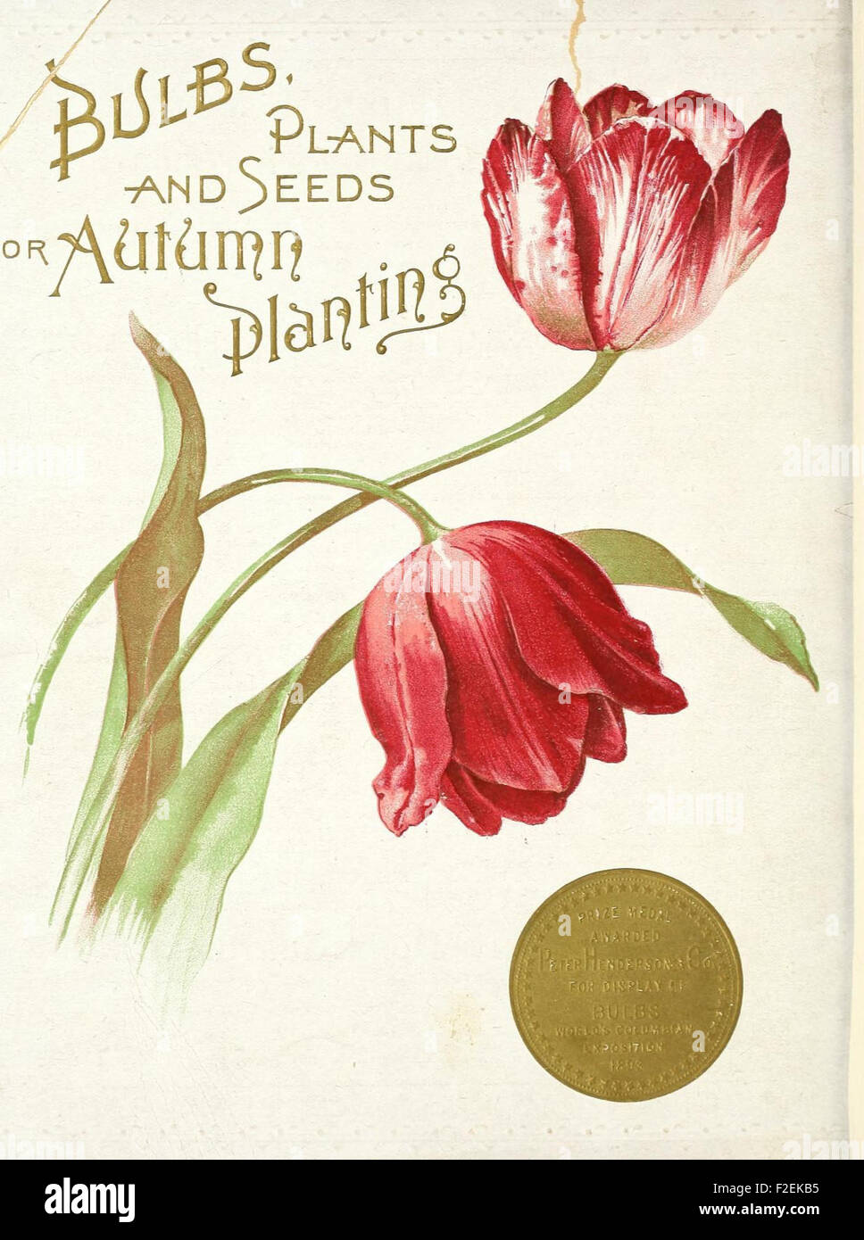 A horticultural catalog providing information on autumn-blooming bulbs ...