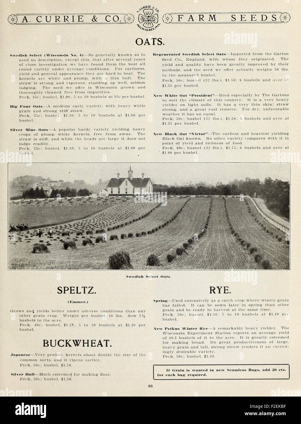 An illustration from a vintage catalog detailing various garden and ...