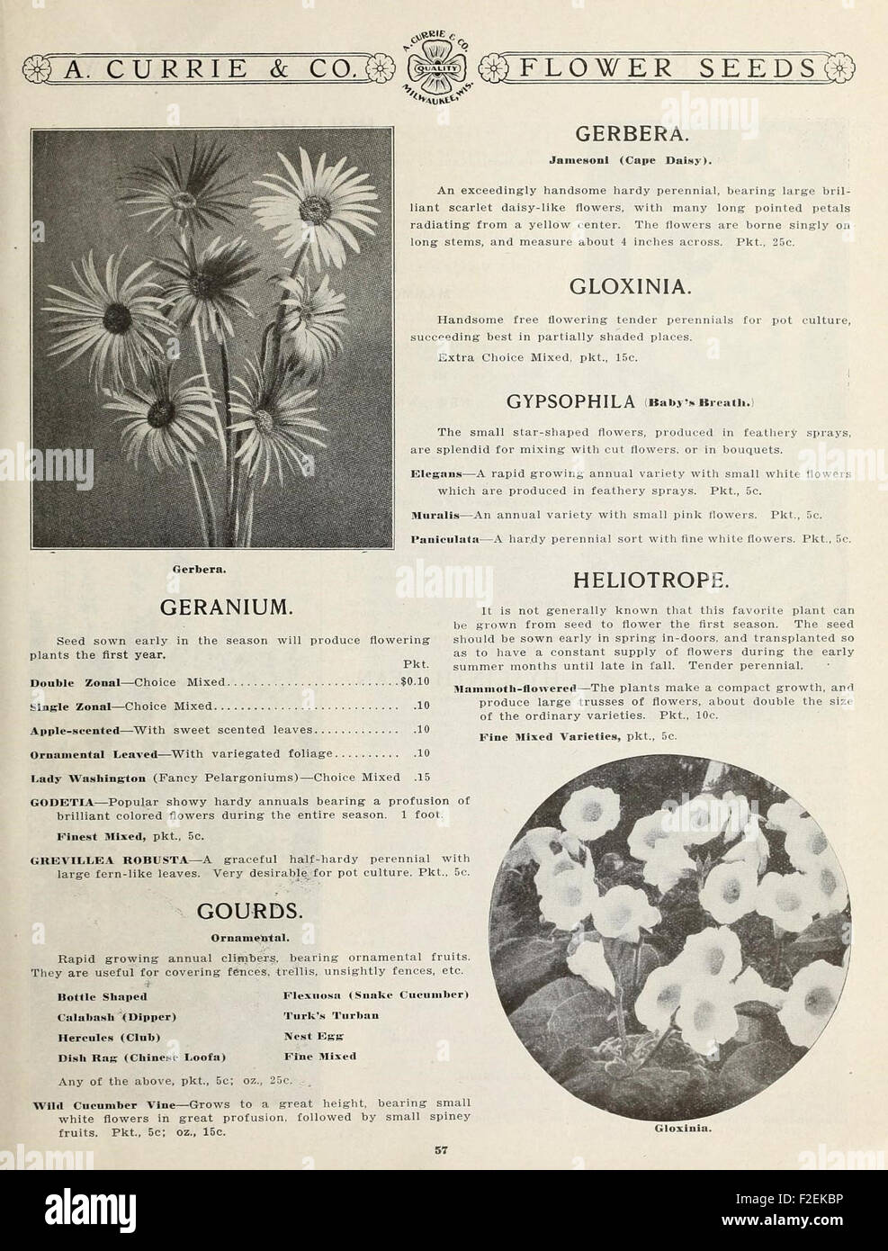This catalog of garden and farm seeds provides an extensive list of ...