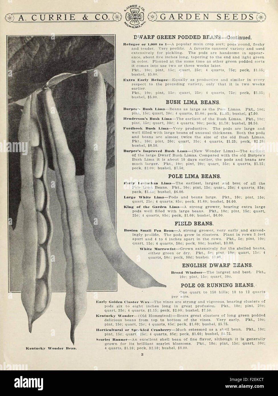 This catalog provides an extensive list of seeds for gardens and farms ...