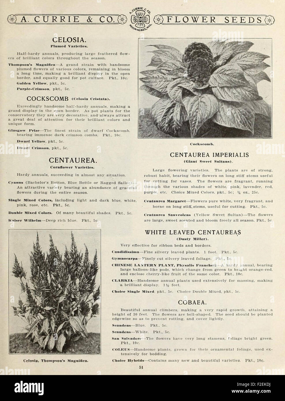 This vintage catalog provides information on a variety of garden and ...