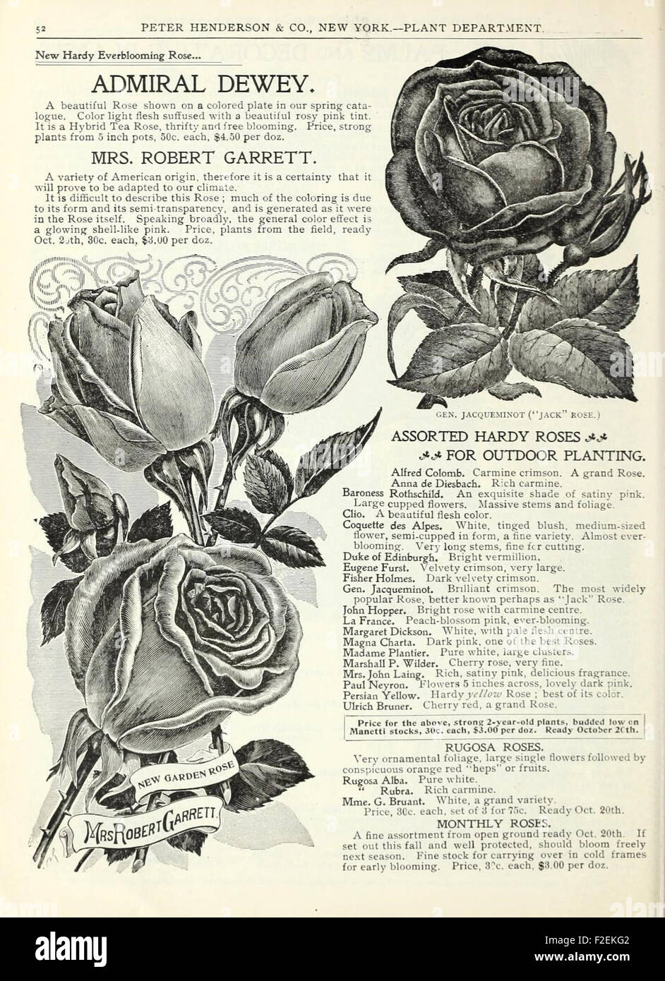 The Autumn Bulbs Catalogue features a range of bulbs suitable for fall ...