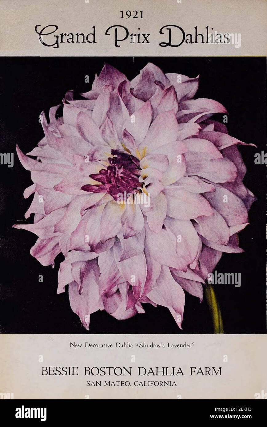 This catalog from Bessie Boston Dahlia Farm features a variety of ...