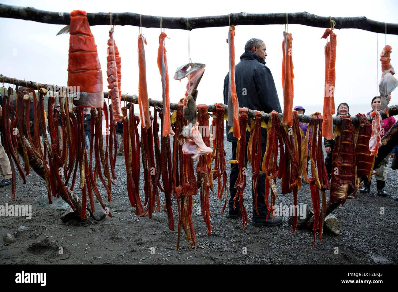 Alaska natives salmon hi-res stock photography and images - Alamy