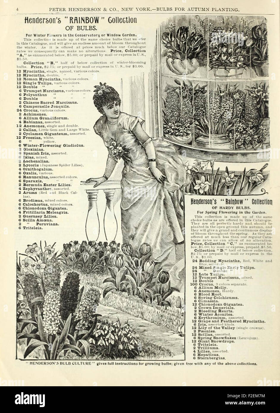 This vintage catalog features autumn bulb varieties for planting ...