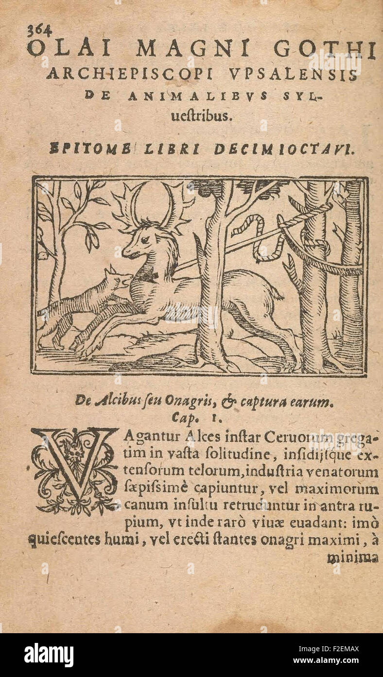 This early work explores the history and ethnography of northern ...