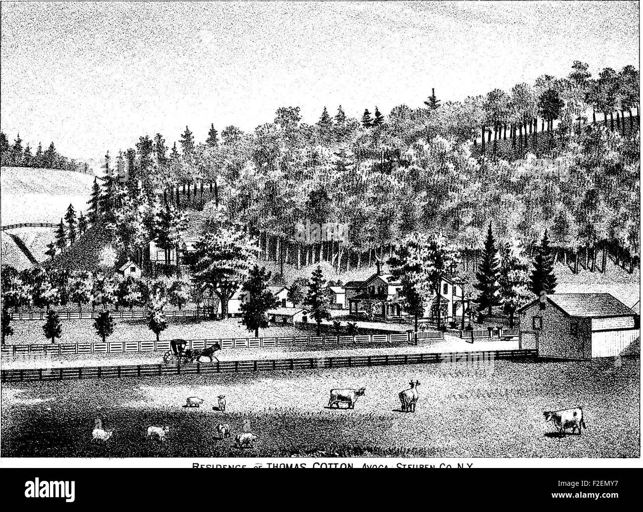 History of Steuben County, New York, with illustrations and ...
