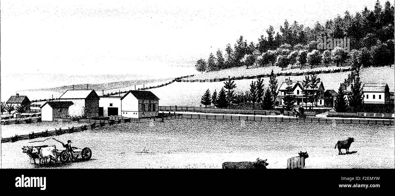 This 1879 historical book provides a comprehensive history of Steuben ...