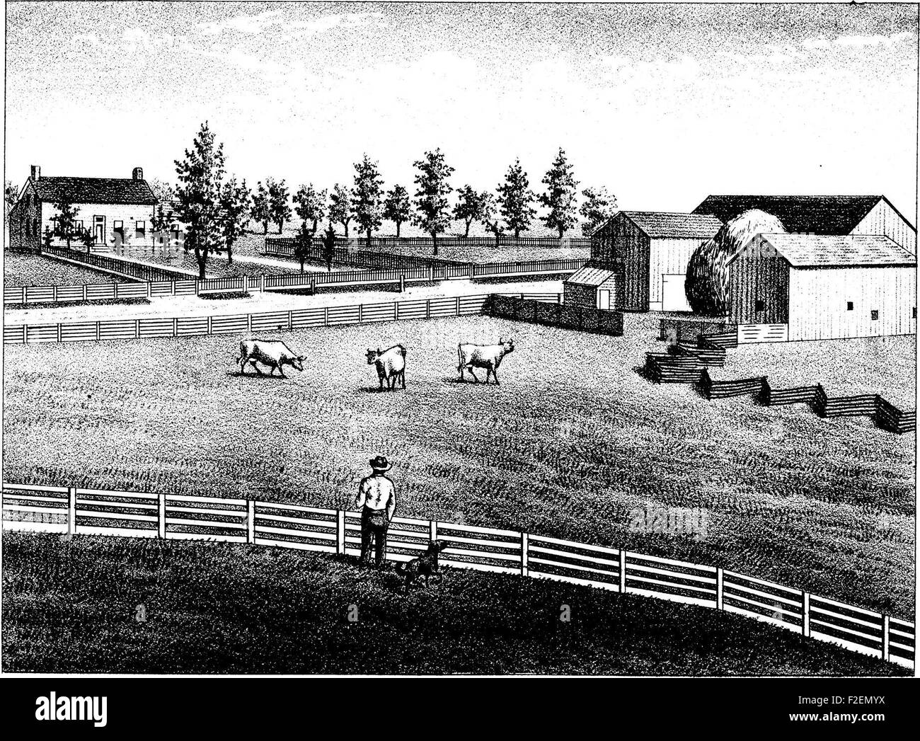 The *History of Steuben County, New York* (1879) documents the county's ...