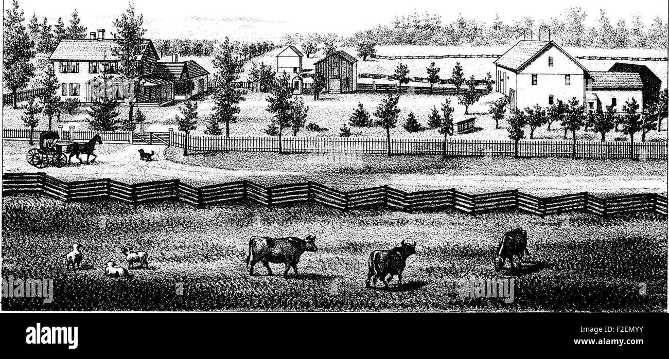 This 1879 work provides a detailed history of Steuben County, New York ...