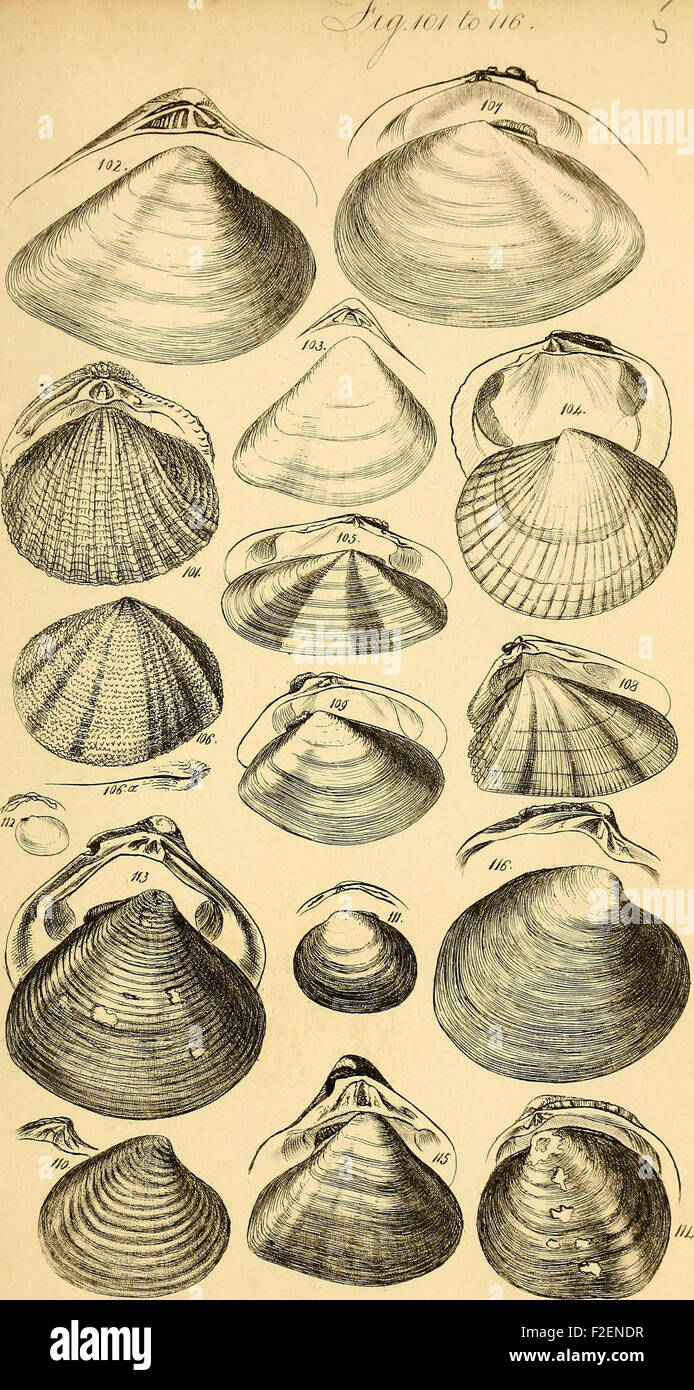 This 1842 manual provides a comprehensive guide to the identification ...