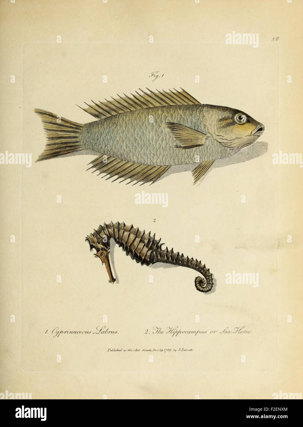 This 18th-century journal describes a voyage to New South Wales ...