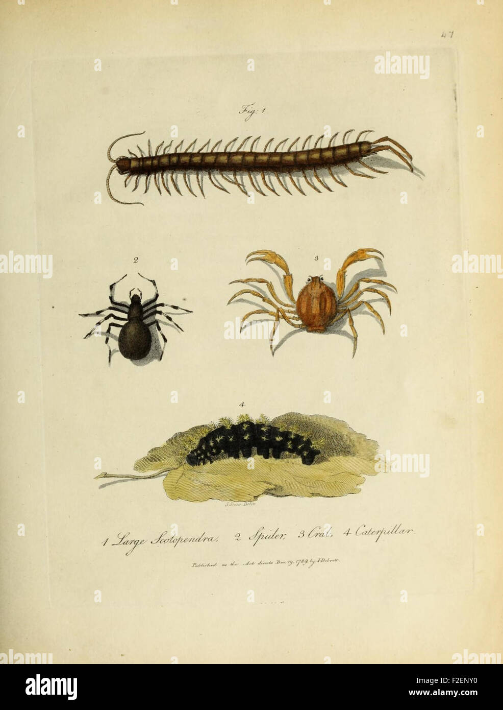 This 18th-century journal chronicles the voyage to New South Wales ...