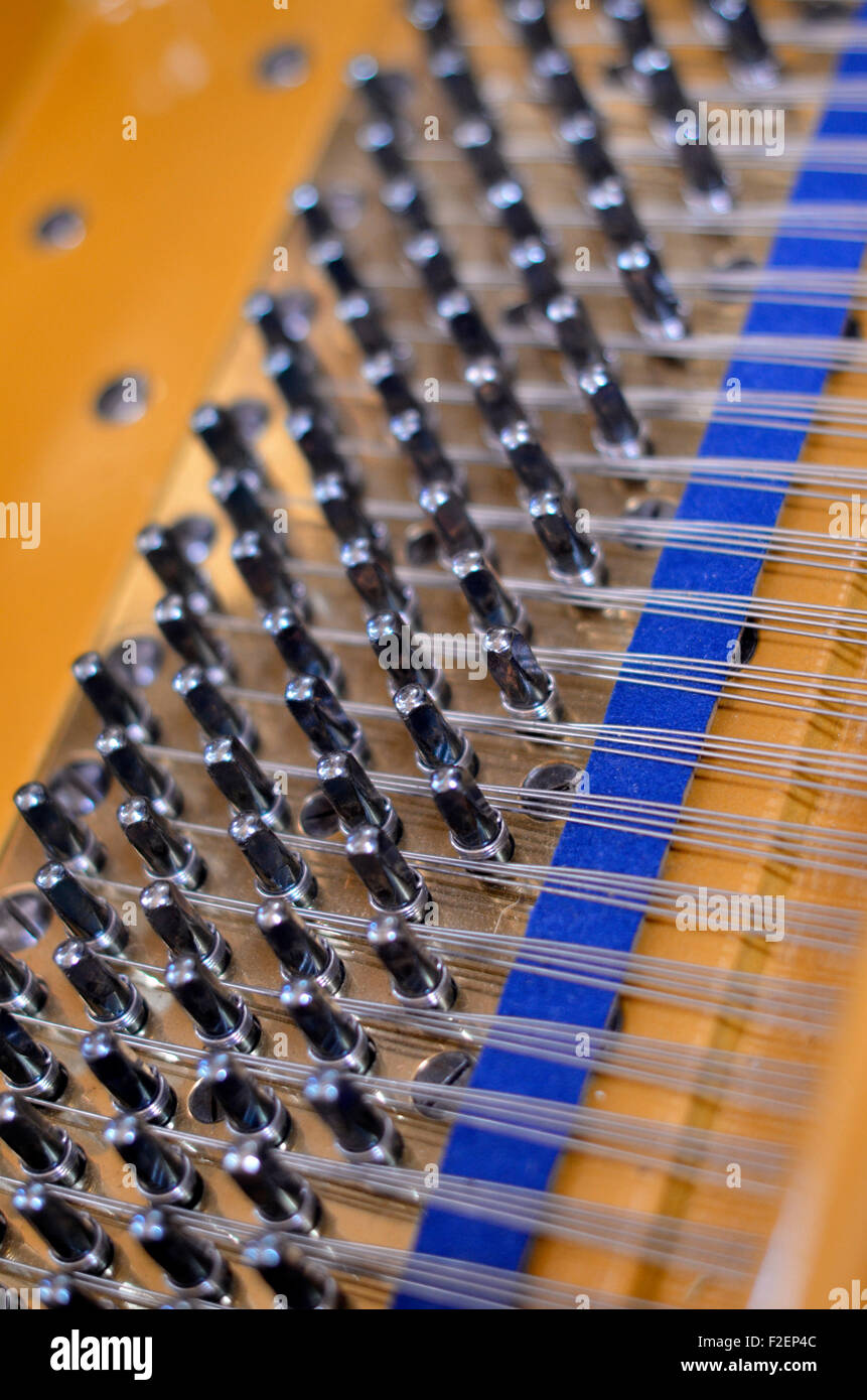 grand piano tuning pegs Stock Photo - Alamy