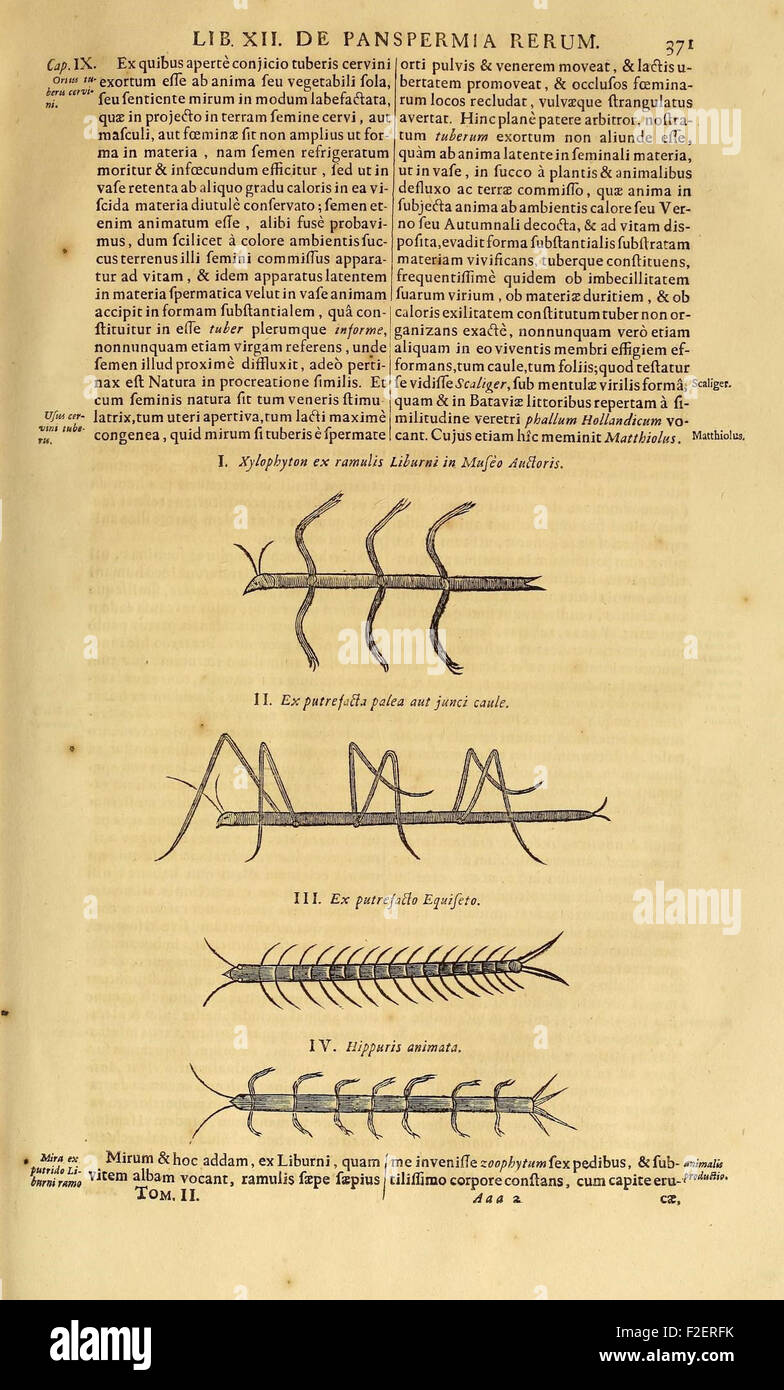 'Mundus Subterraneus' is a 17th-century work exploring the natural ...