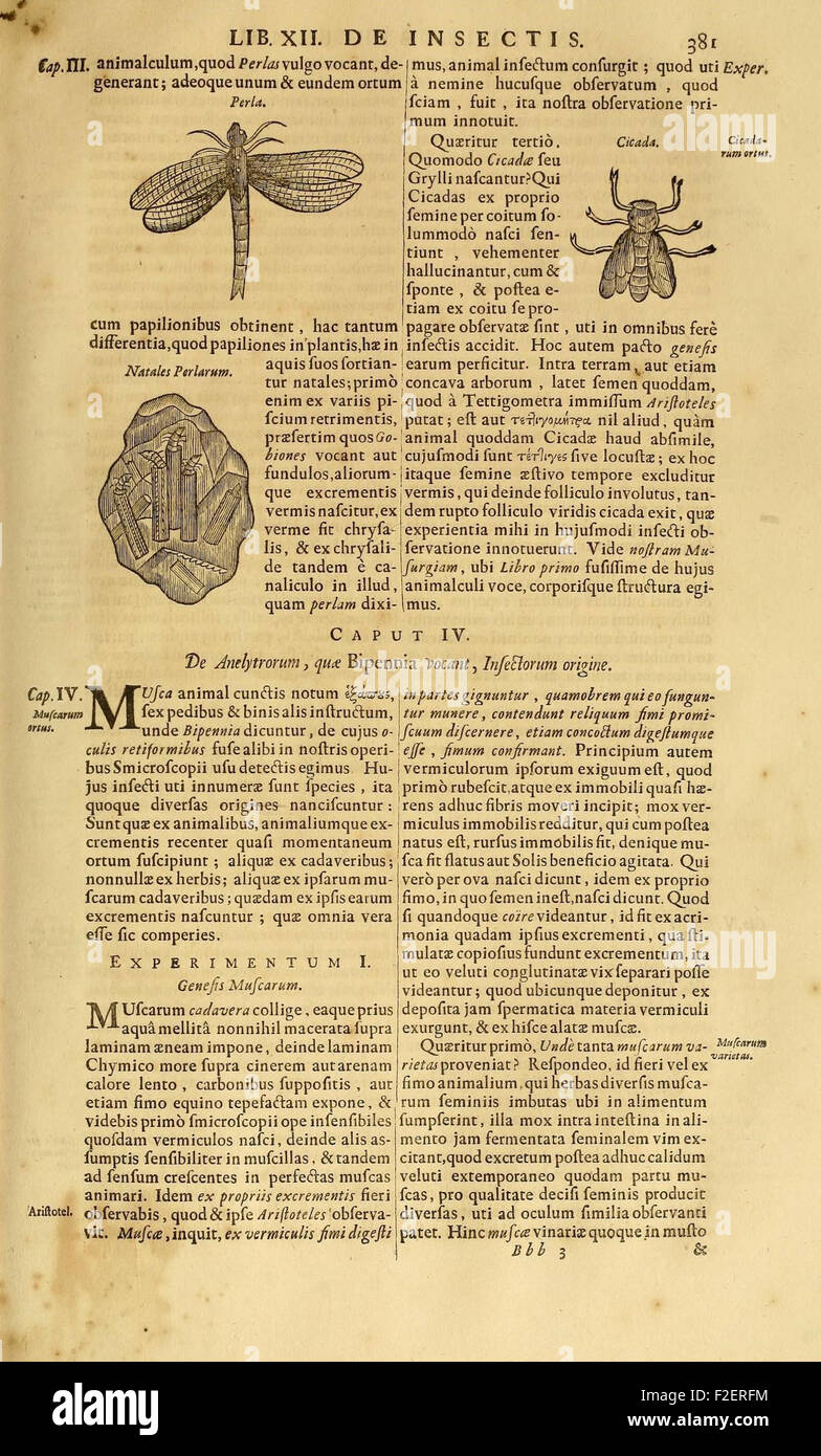 This early work, 'Mundus Subterraneus,' provides a comprehensive study ...