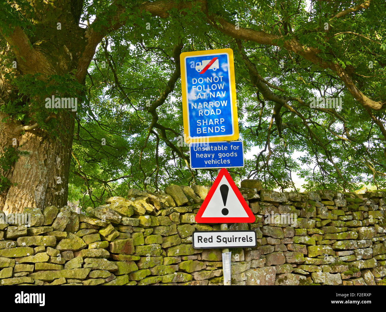 Red squirrel warning sign hi-res stock photography and images - Alamy