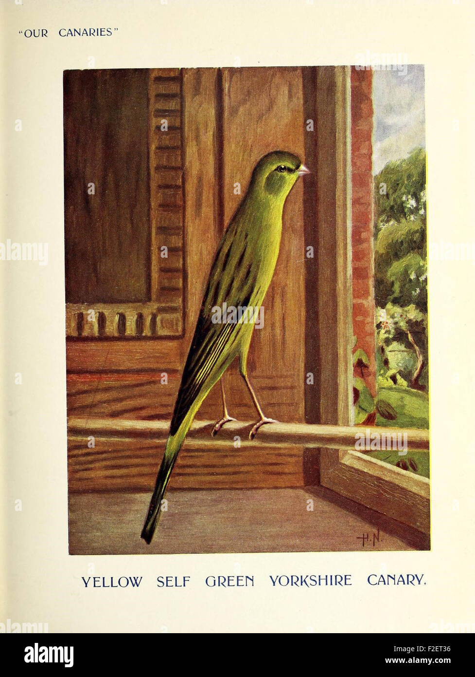 This guide discusses the care and breeding of canaries, offering ...
