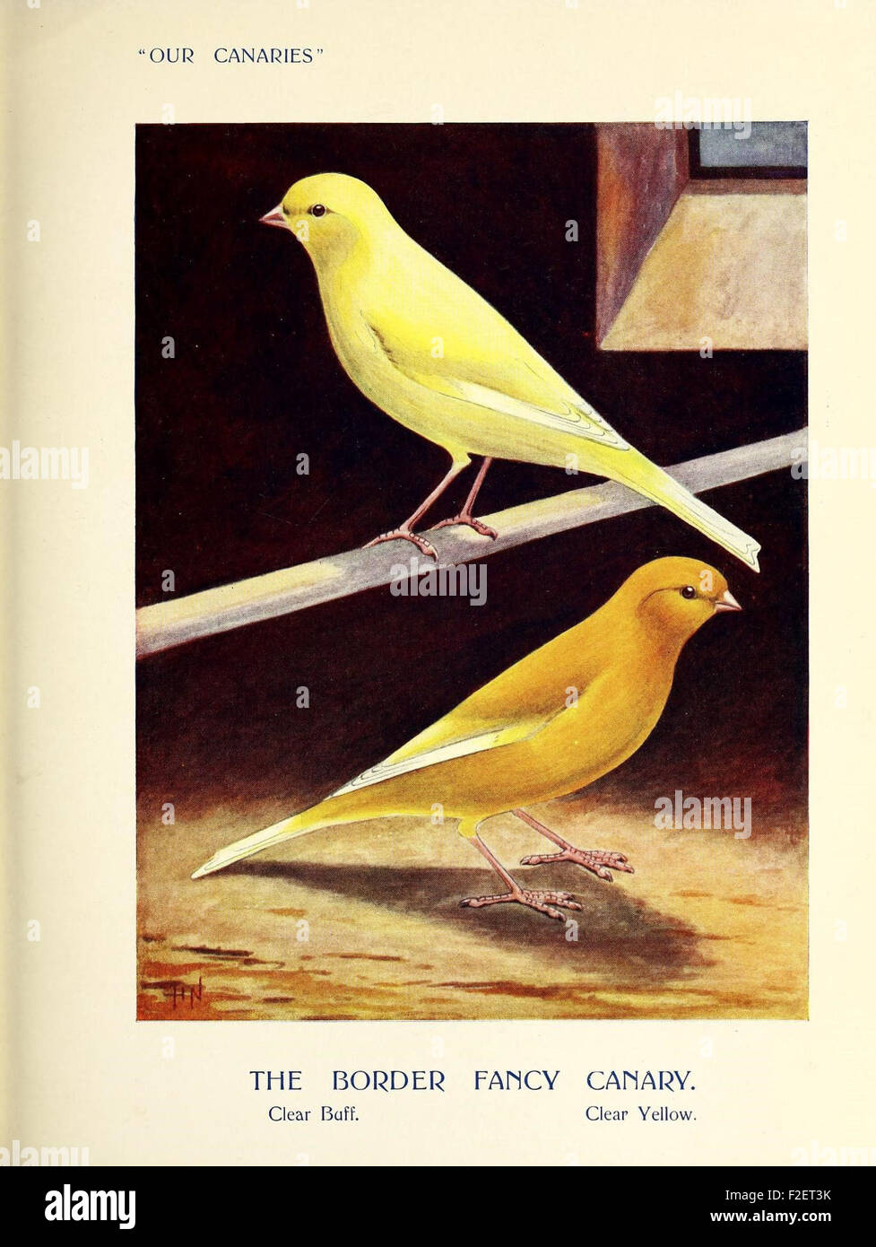 *Our Canaries* is a book dedicated to the care, breeding, and ...