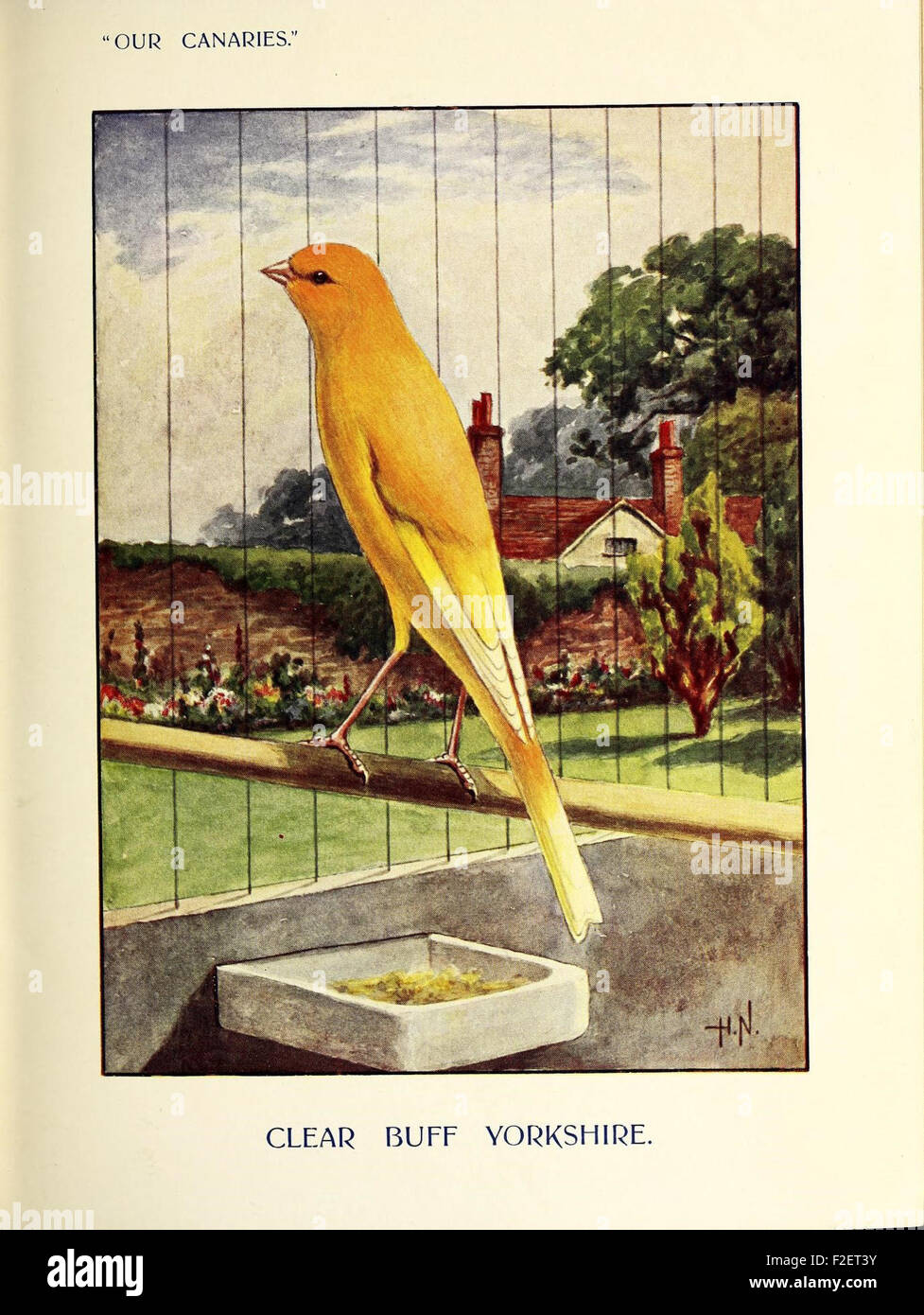 'Our Canaries' is a comprehensive guide to the care and breeding of ...