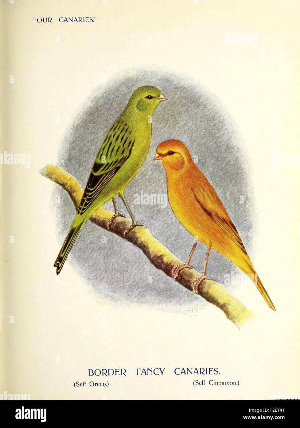 This work focuses on the history, care, and breeding of canaries as ...