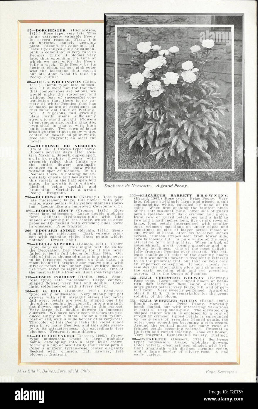 'Peonies for Pleasure' is a guide for growing peonies in the home ...
