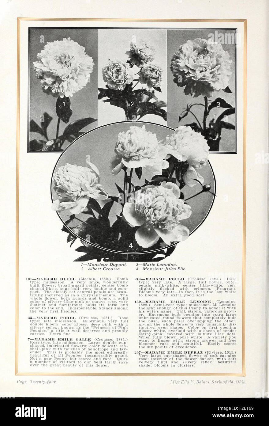 *Peonies for Pleasure* is a guide focused on the cultivation of peonies ...