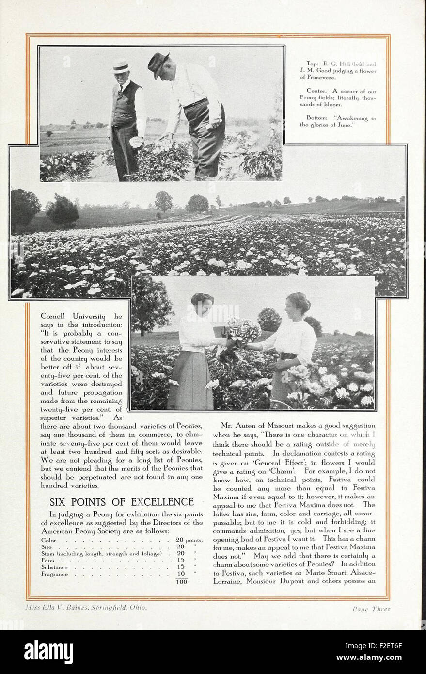*Peonies for Pleasure* is a gardening guide that provides instructions ...