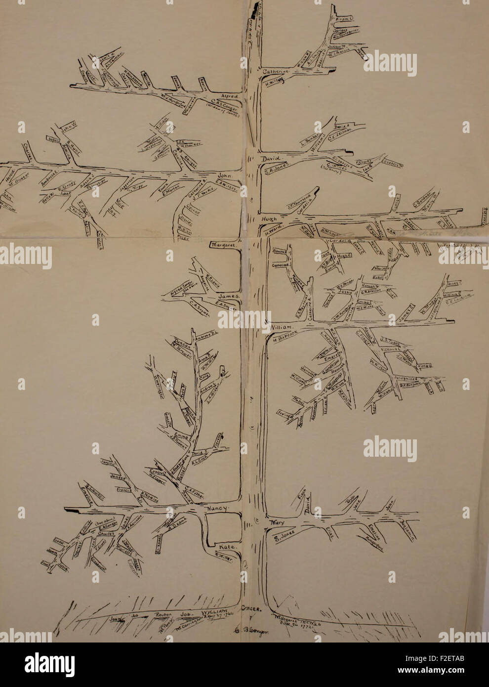 This 1903 genealogical record documents the births, marriages, and ...