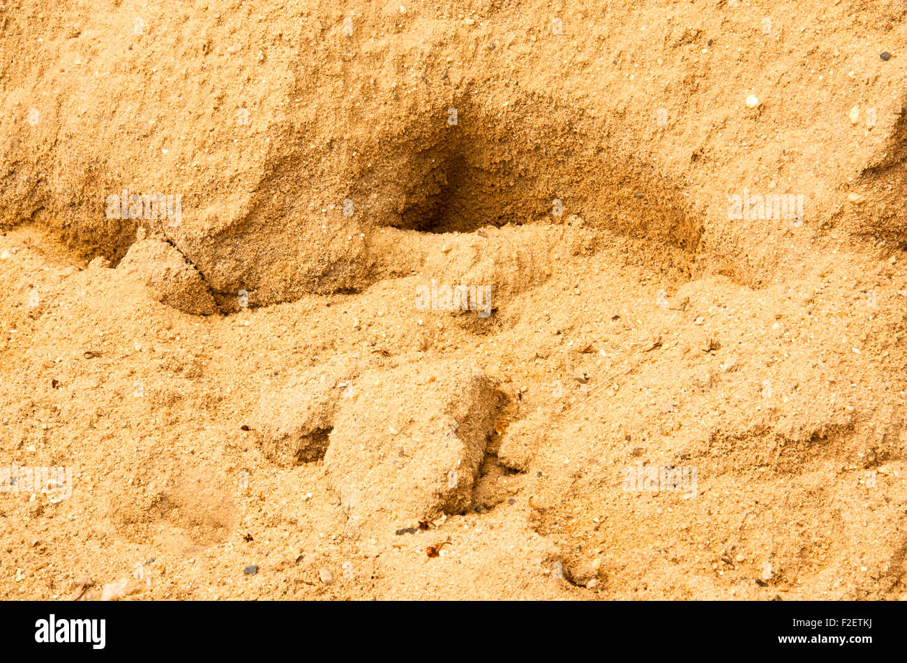 The sand used in construction and used to is background Stock Photo - Alamy