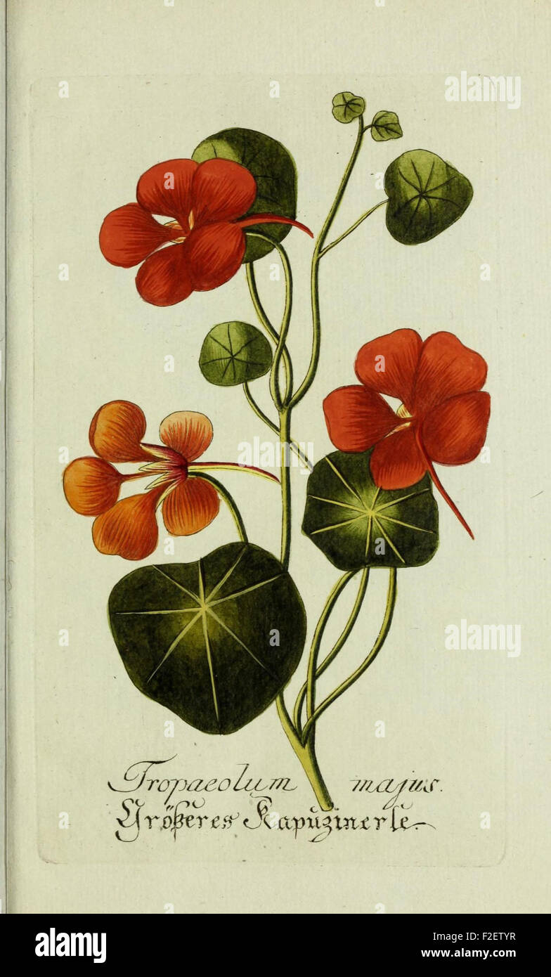 This 18th-century botanical book features hand-colored illustrations of ...