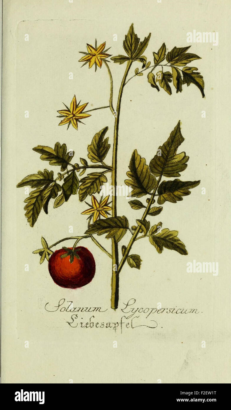 This 18th-century botanical work features detailed, hand-colored ...