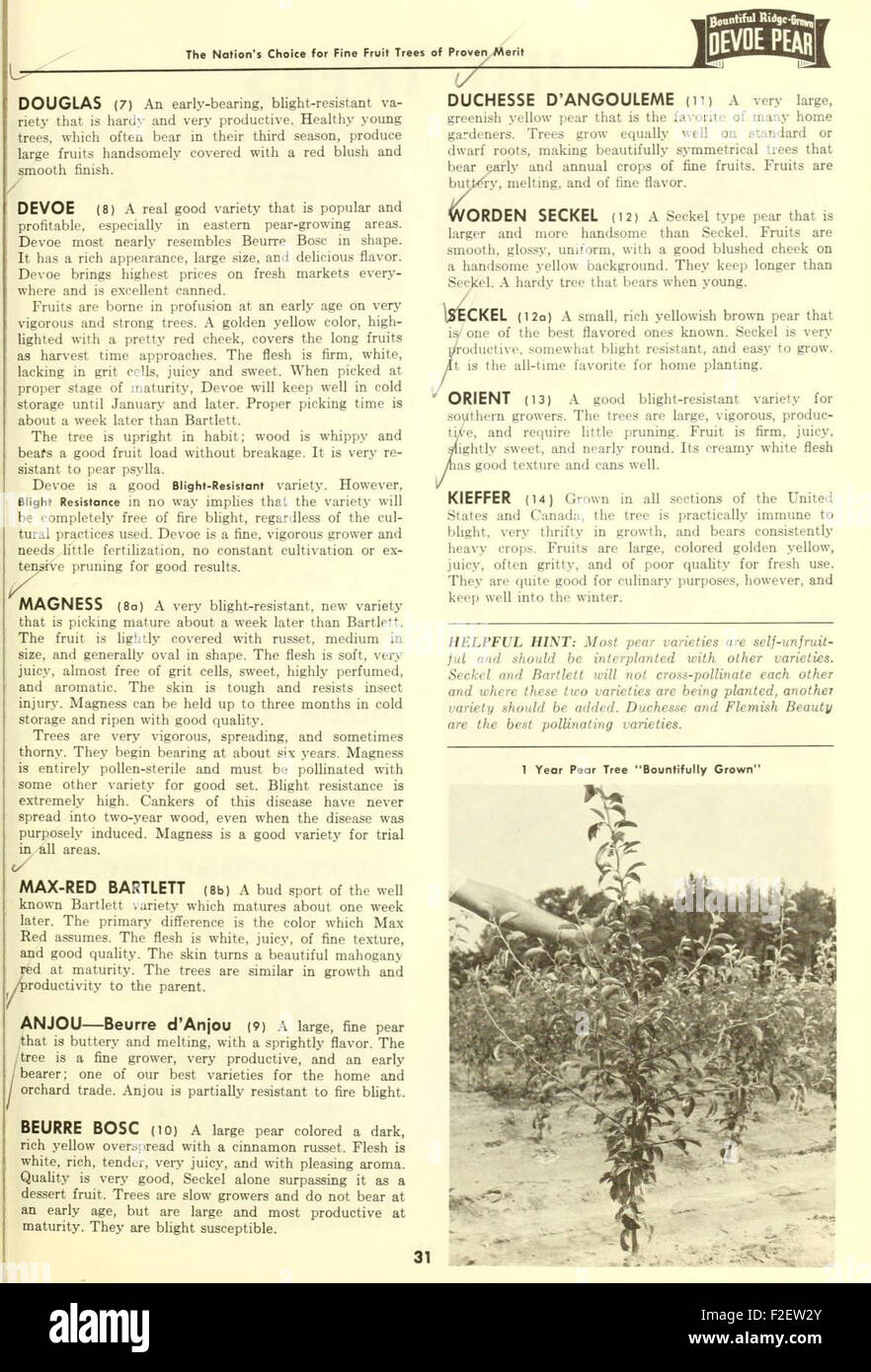 This vintage planting guide offers practical advice on growing fruit ...
