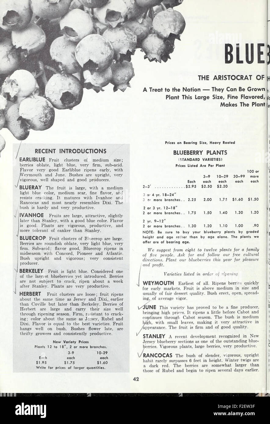 This guide provides essential information on planting fruit trees ...