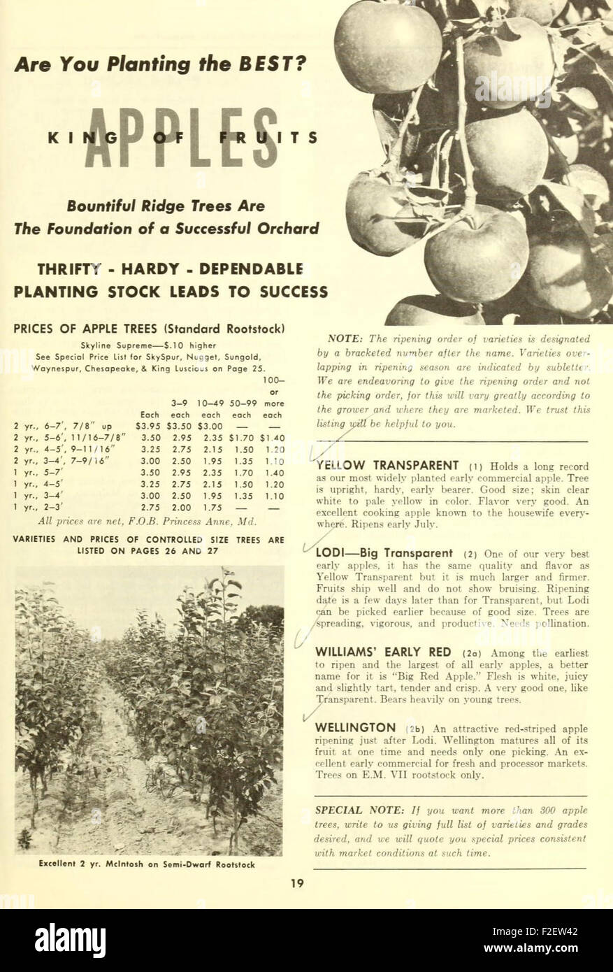 This vintage planting guide provides detailed instructions on ...