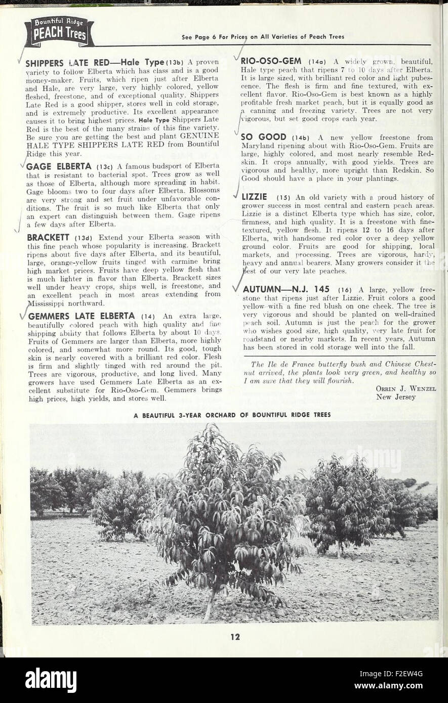 A horticultural guide featuring planting techniques, catalogs for ...