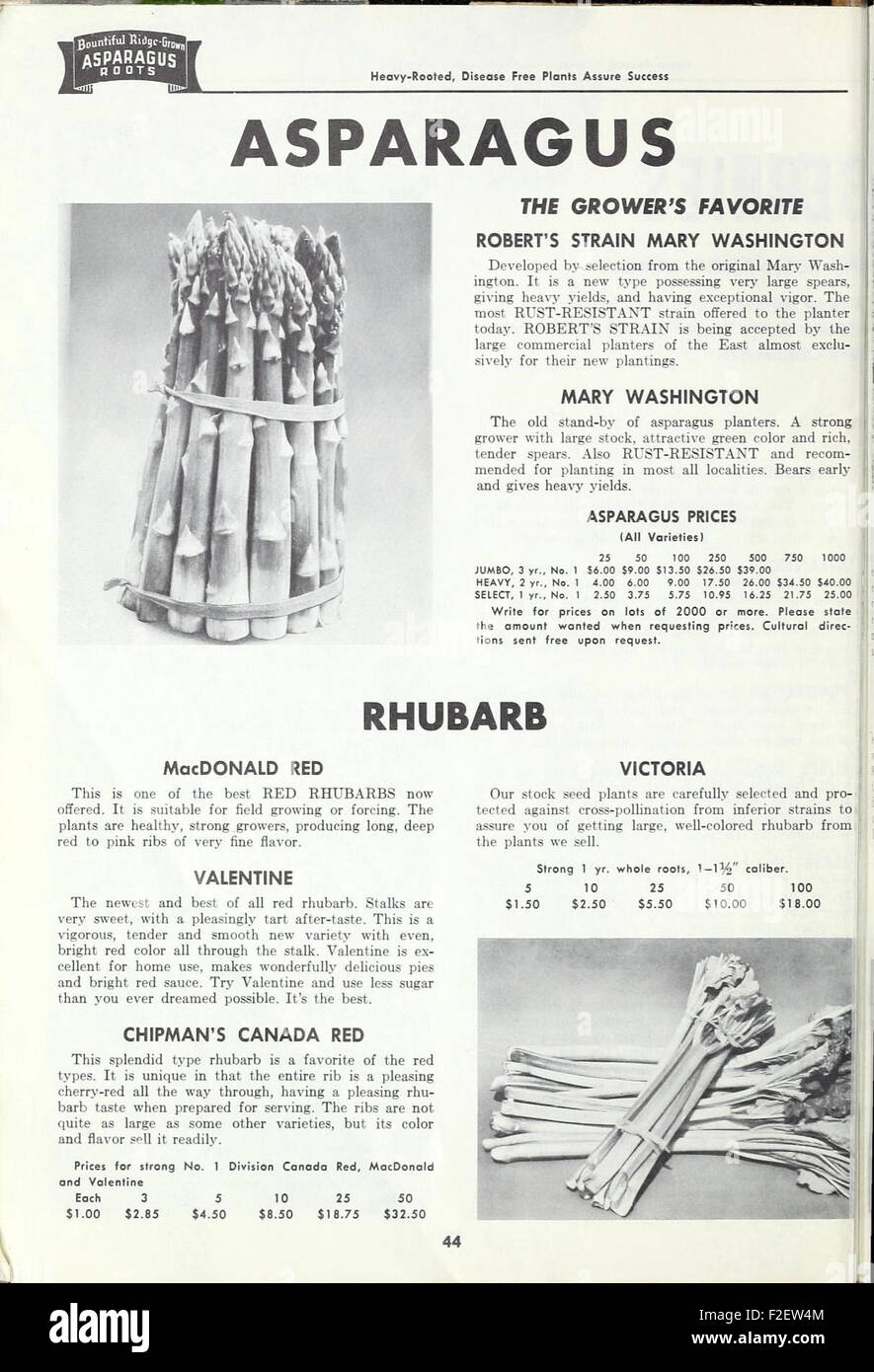 This planting guide offers instructions on how to plant various flowers ...