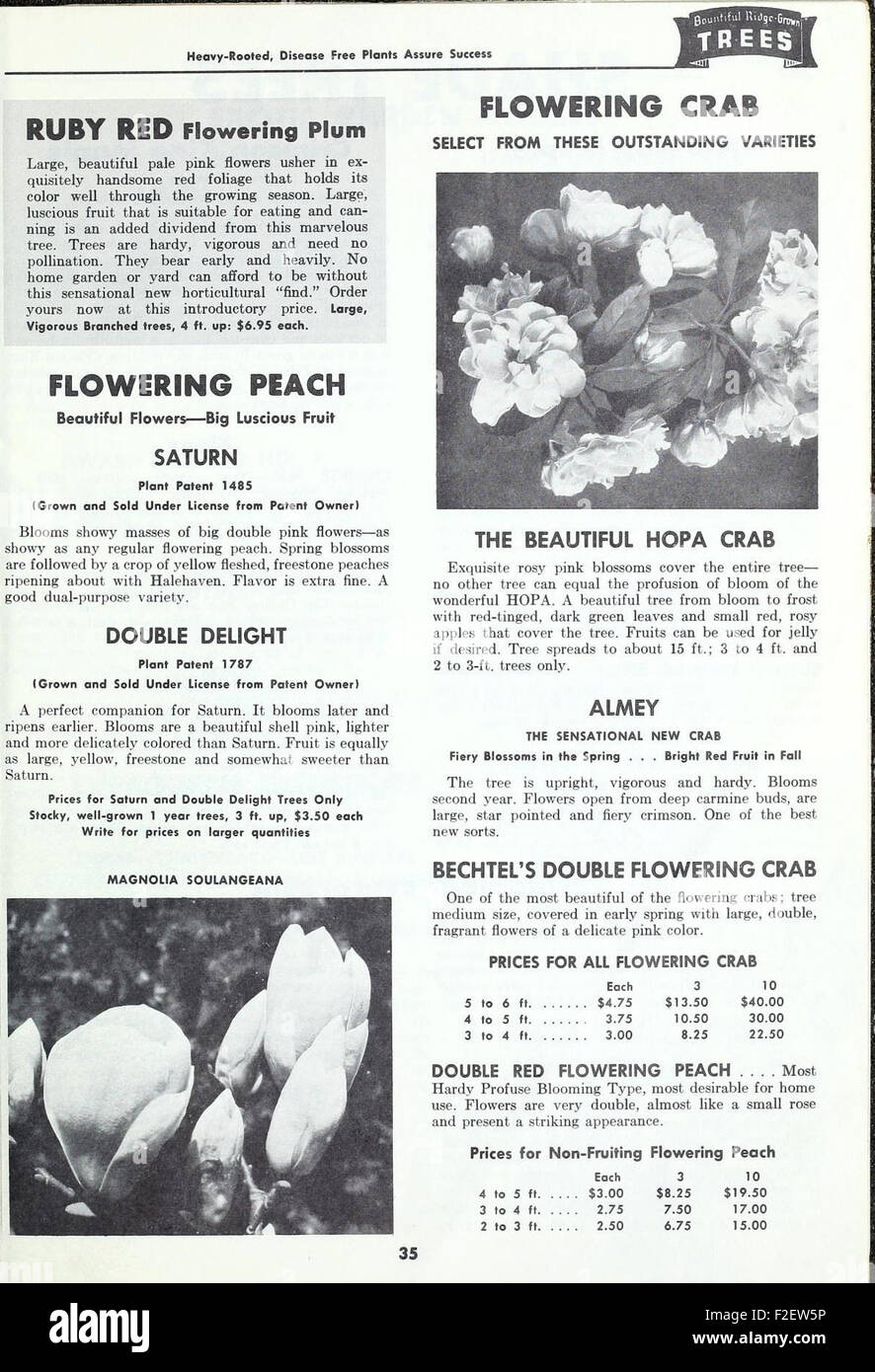 The 'Planting Guide' is a horticultural resource offering advice on ...