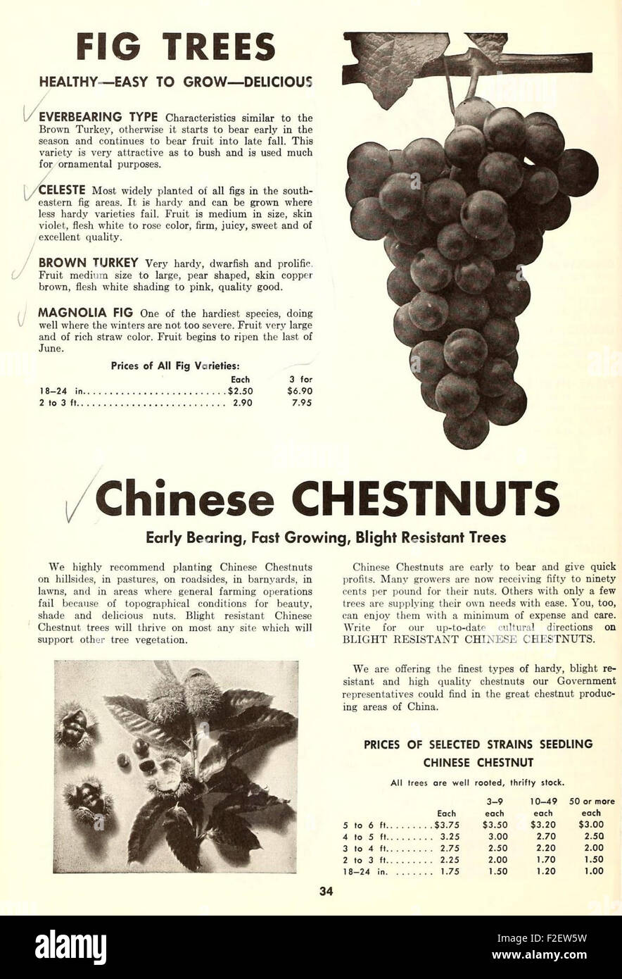 A vintage guide for planting fruit trees and flowers, featuring ...