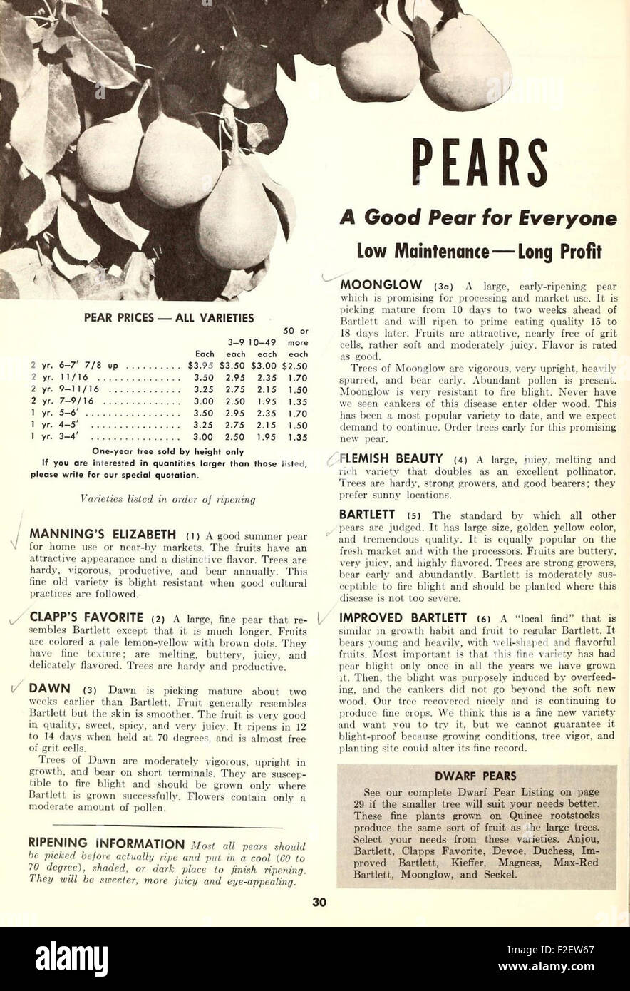 This planting guide offers detailed advice on growing fruit trees and ...